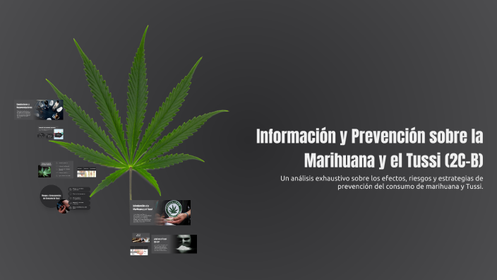 Información y Prevención sobre la Marihuana y el Tussi (2C-B) by tjammx ...