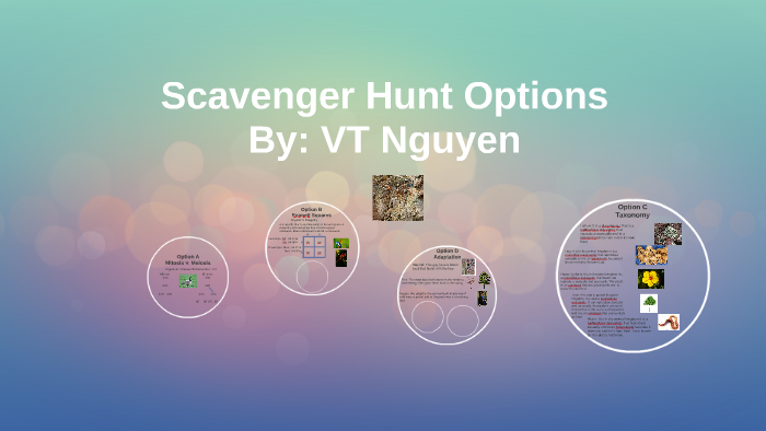 Scavenger Hunt Options by VT Nguyen on Prezi