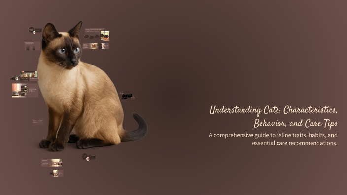 Understanding Cats: Characteristics, Behavior, and Care Tips by Test ...