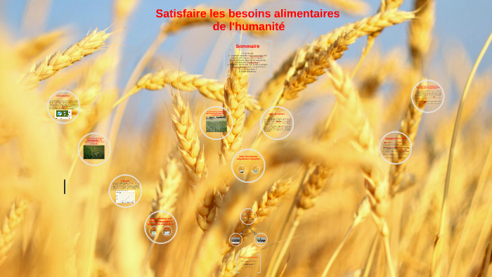 Diapo TP 4 SVT by Philippe Lemaire on Prezi