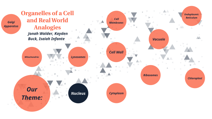 Organelles of a Cell and Real World Analogies by Jonah Walder on Prezi