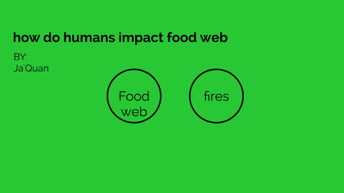 how do humans impact food web by Jaquan Clayton on Prezi