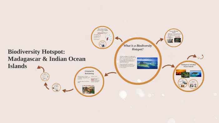 Biodiversity Hotspot: Madagascar & Indian Ocean Islands by clau lilo on ...
