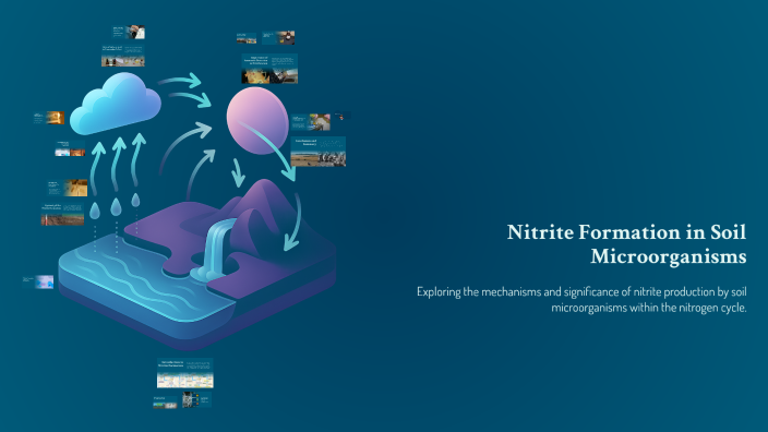 Nitrite Formation in Soil Microorganisms by Shaun Andrew Maranan on Prezi