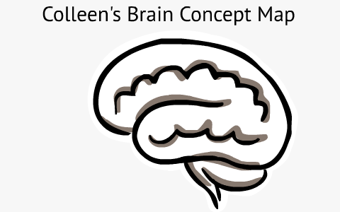 Brain Concept Map by Colleen Grogan on Prezi