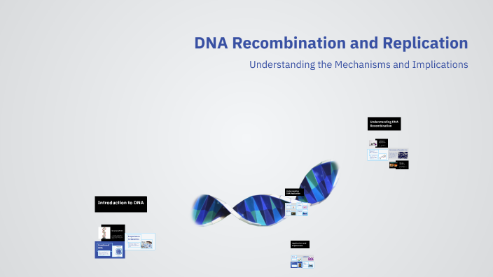 DNA Recombination and Replication by Neha P on Prezi