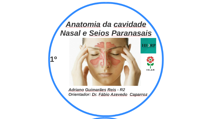 Anatomia da cavidade Nasal e Seios Paranasais by HIORP Hospital ...