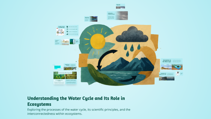 Understanding the Water Cycle and Its Role in Ecosystems by Kaymeria ...