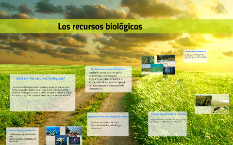los recursos biológicos by jose manuel muñoz on Prezi