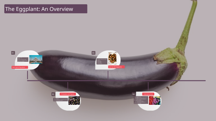 The Eggplant: An Overview by Jara Kroon on Prezi