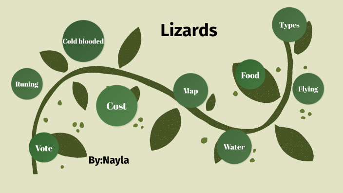 Lizards by Nayla Berg on Prezi