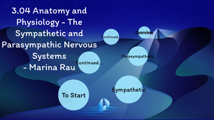 Anatomy 3.04 by marina rau on Prezi