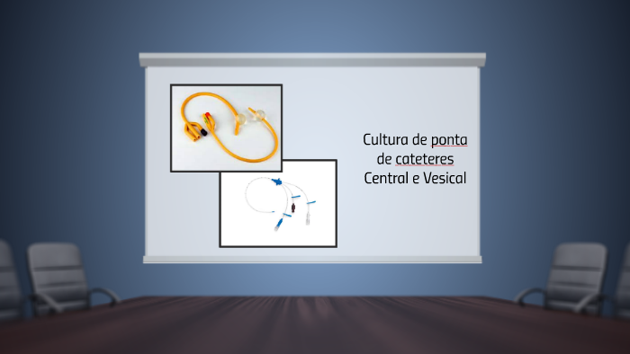 Cultura de ponta de cateteres Central e Vesical by isabela lisboa on Prezi
