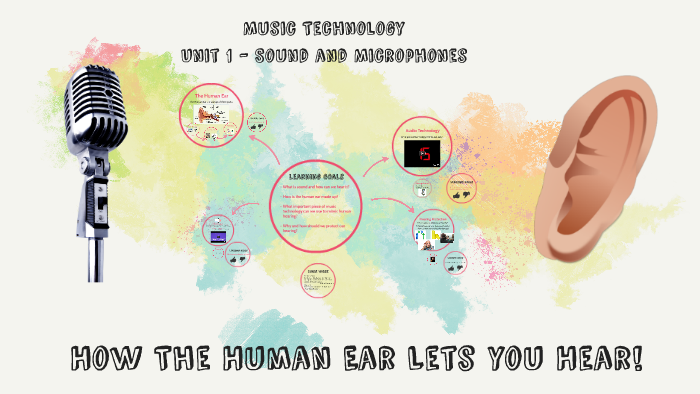 How The Human Ear Works by Michael Glass on Prezi