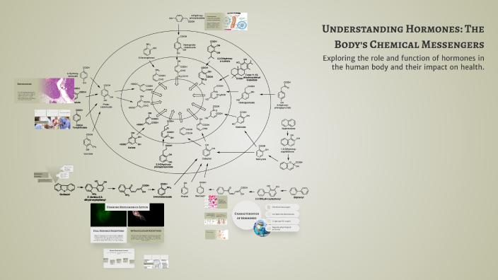 Understanding Hormones: The Body's Chemical Messengers by Sima Qahar on ...