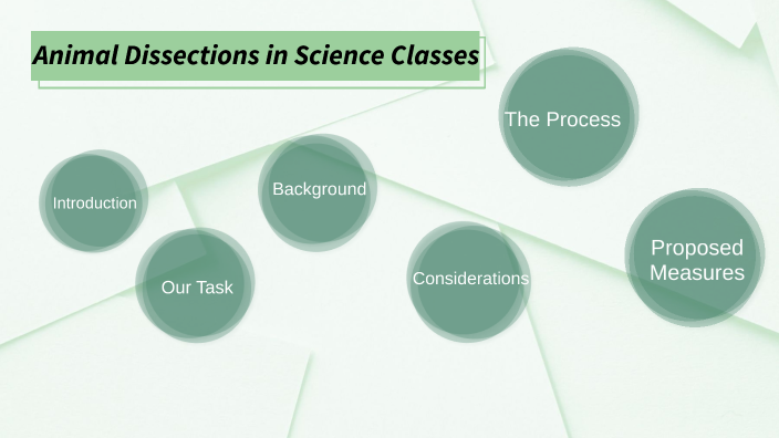 Animal Dissections by Elena Duncan on Prezi