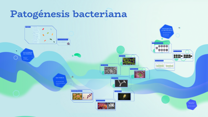 Patogénesis bacteriana by Daniel Esteban on Prezi