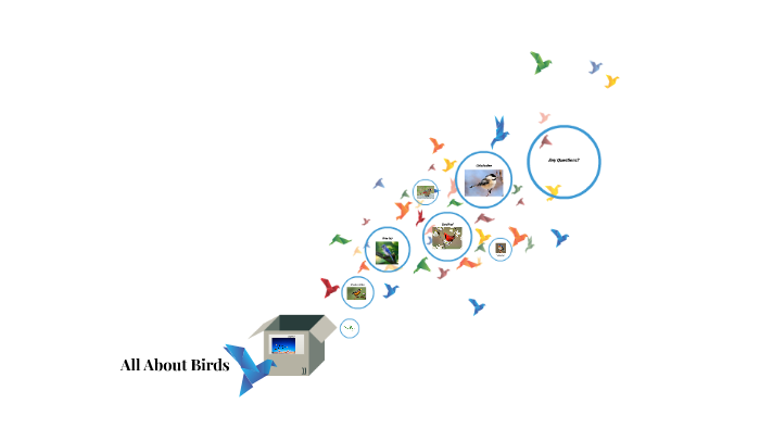 All About Birds by Elsa Soderberg