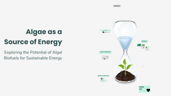 Algae as a Source of Energy by Ibrahim Al said on Prezi