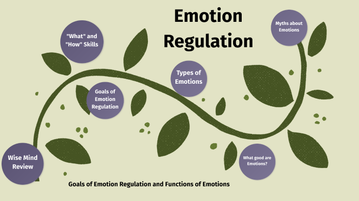 Emotion Regulation: Goals of Emotion Regulation by Cheyene Powell on Prezi