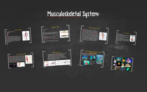 Musculoskeletal System: by kate antrobus on Prezi