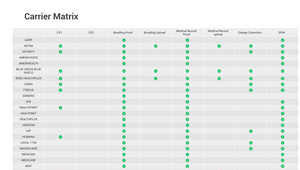 Carrier Matrix by on Prezi Design