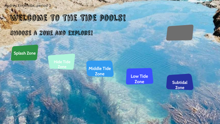 Welcome to the tide pools! by Audrey Entwistle on Prezi