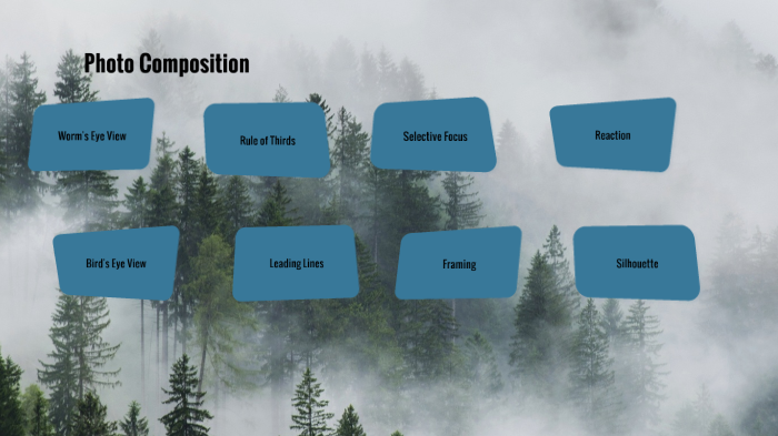 Photo Composition by Carrie Teller on Prezi
