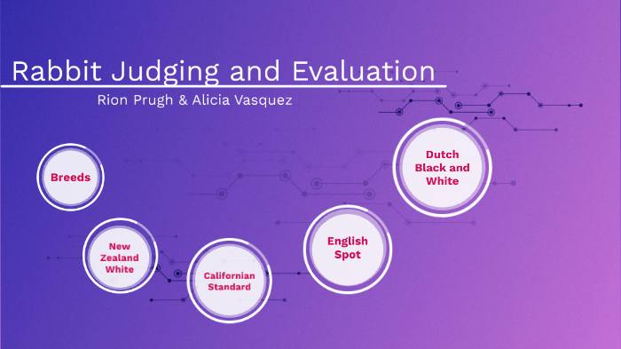 How to Judge and Evaluate Rabbits by Rion Prugh on Prezi