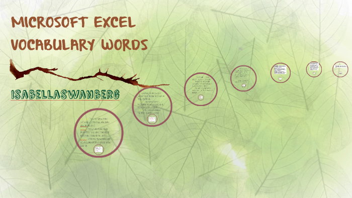 MICROSOFT EXCEL VOCABULARY WORDS by Isabella Swanberg on Prezi