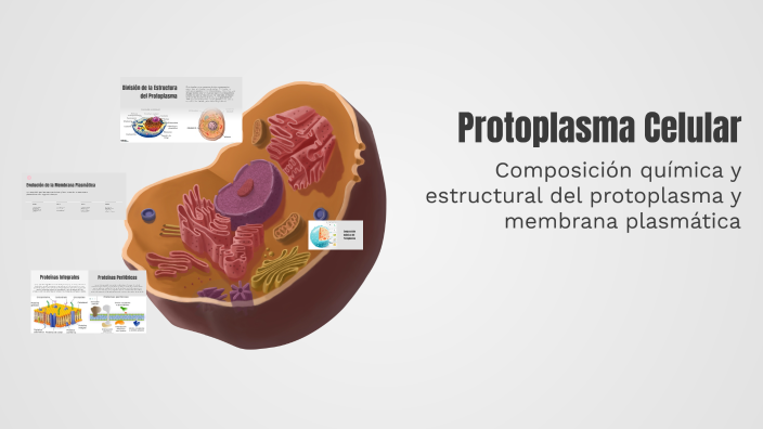 Protoplasma Celular by elcio figueroa alvarado on Prezi
