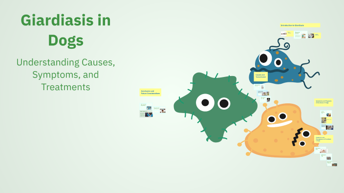 Giardiasis in Dogs by Kia Gh on Prezi