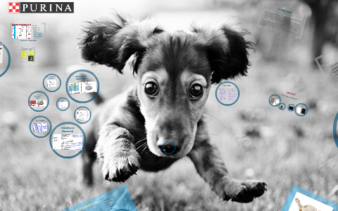Manifest Recap by Amy Gurka on Prezi