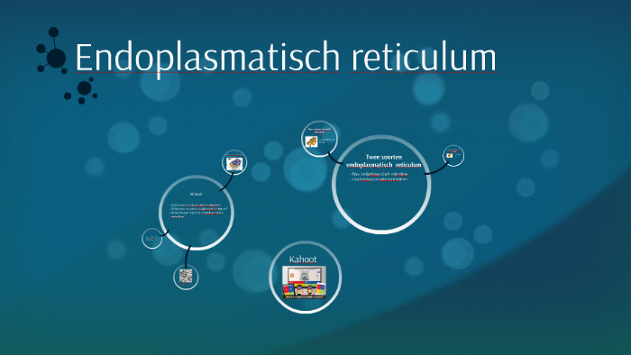 Endoplasmatisch reticulum by Anouk Rensen on Prezi