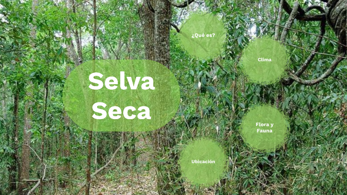 Selva Seca by Emiliano Juárez on Prezi