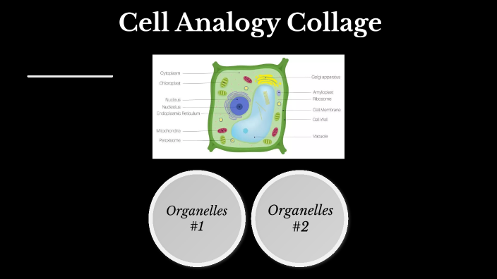 Cell Analogies Collage by Samuel Melaku on Prezi