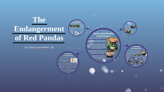 Species identification in Red Pandas by chloe gruensfelder on Prezi