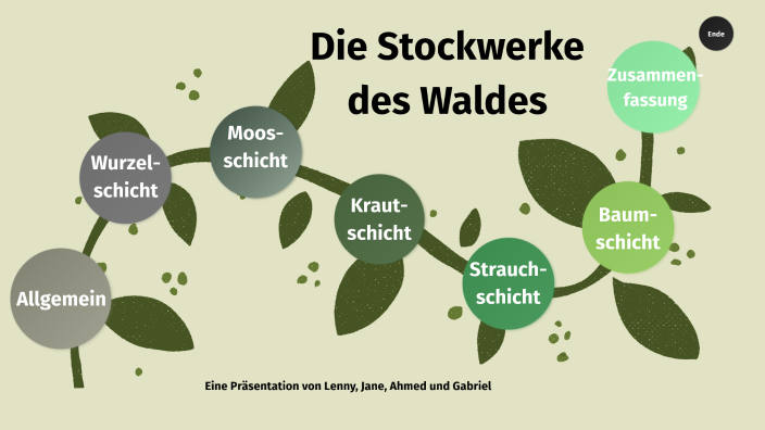 Die Stockwerke des Waldes by Lenny Wingers on Prezi