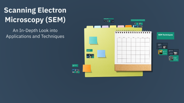 Scanning Electron Microscopy (SEM) by amin amjadi on Prezi