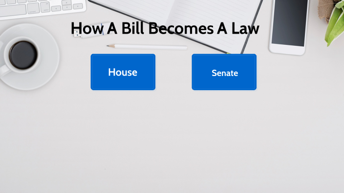 How A Bill Becomes A Law By Samantha Bankert by Samantha Bankert on Prezi