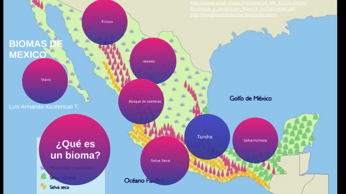 BIOMAS DE MEXICO by Lüis Xicotencatl on Prezi