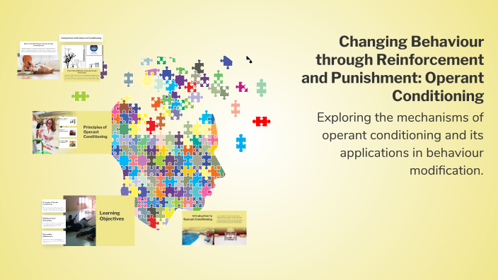 Changing Behaviour through Reinforcement and Punishment: Operant ...