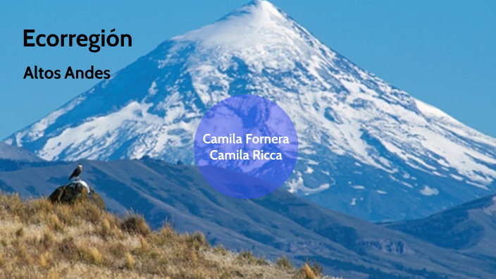 Altos Andes by on Prezi