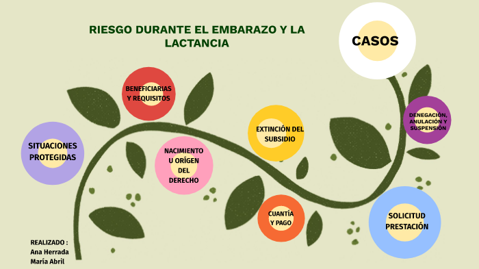 Riesgo durante el embarazo y la lactancia by Ana Herrada on Prezi