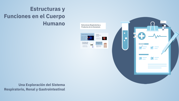 Estructuras y Funciones en el Cuerpo Humano by Arroyo Guzmán Marco ...