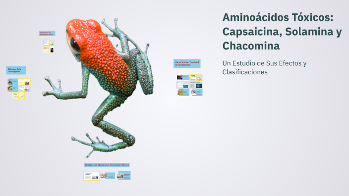 Aminoácidos Tóxicos: Capsaicina, Solamina y Chacomina by JOHANA LIZETH ...