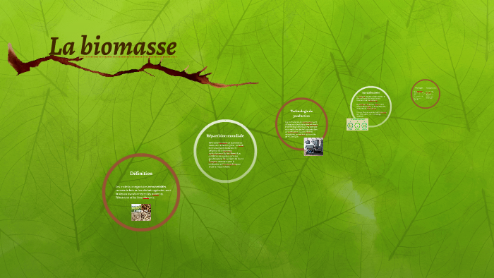 La biomasse by Danielle Nanni on Prezi
