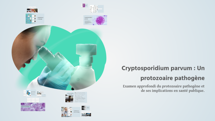Cryptosporidium parvum : Un protozoaire pathogène by Gojo Saturi on Prezi