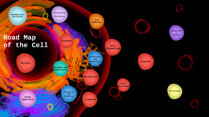 Roadmap of Cell (Group 20) by Mia Chu on Prezi