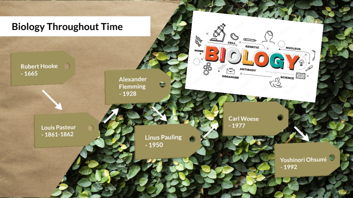 Biology Timeline by Jackson Van den Brink on Prezi